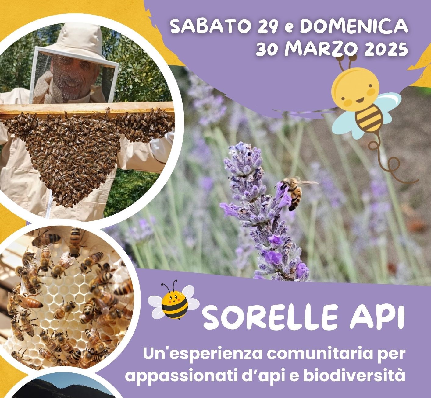 SORELLE API. Due giorni per appassionati d’api e biodiversità ⋆ ...